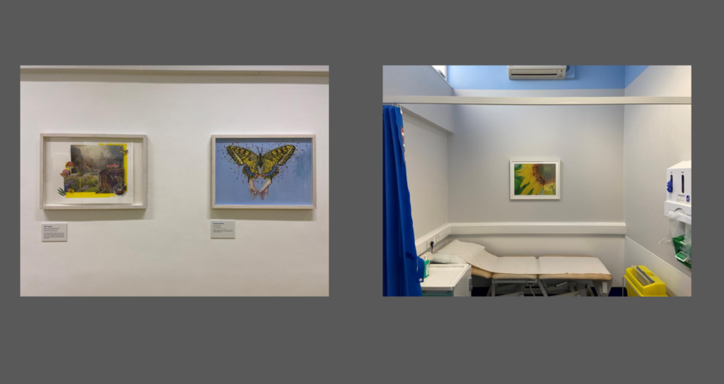 Covid 19 Legacy Imperial Health Committee, 2023 – Fay Ballard